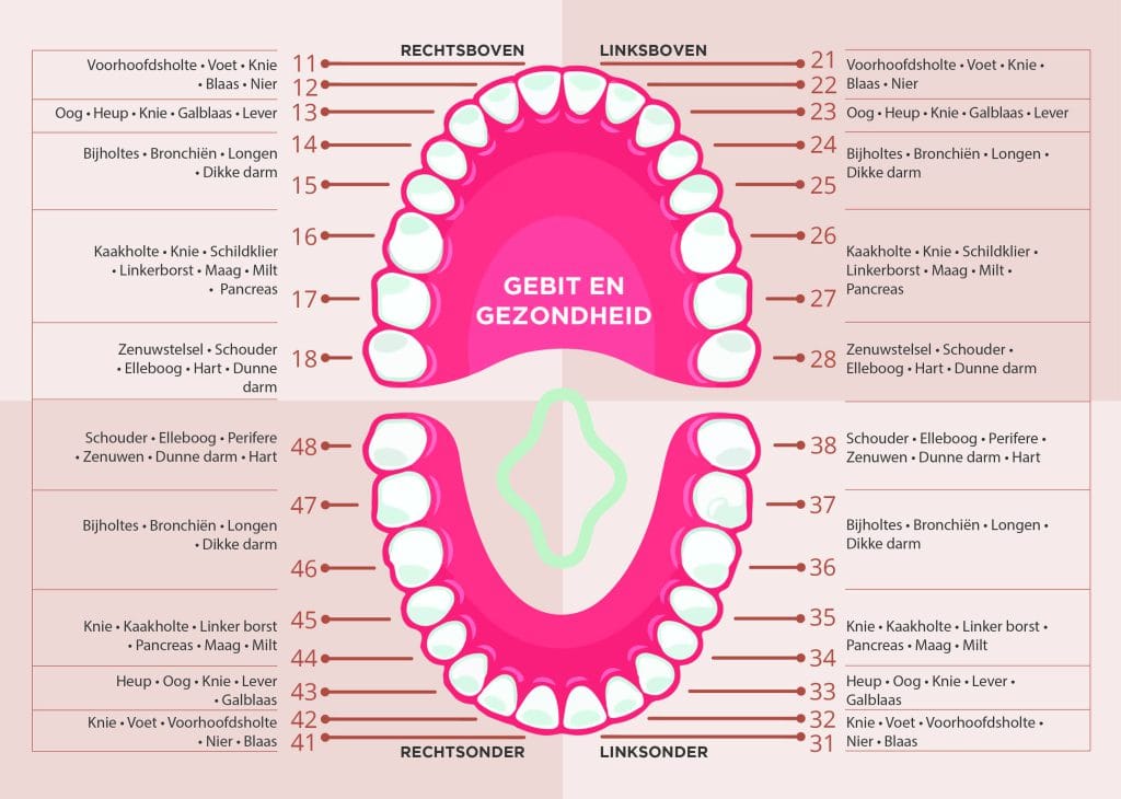 Biologische tandarts Amsterdam - Tandartspraktijk De Liefde